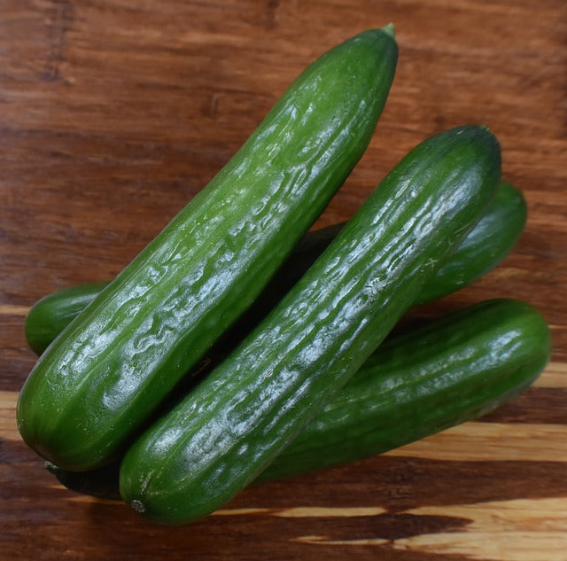 Grow Parthenocarpic Cucumbers for a Disease-Free Harvest