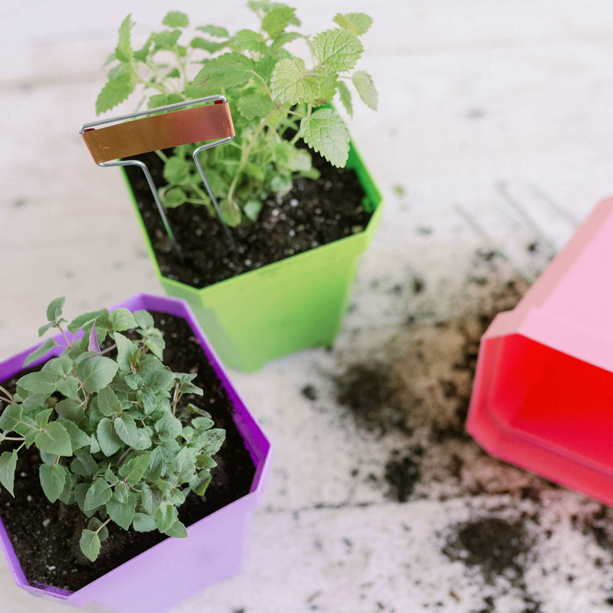 5" Heavy Duty Nursery Pots