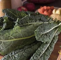 Heirloom Organic Dinosaur Kale Seeds (AKA Toscano Kale / Tuscan Kale