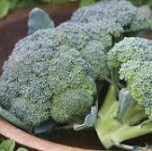 Organic Heirloom Sun King Broccoli Seeds